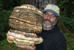 Understanding The Paul Stamets Microdosing Stack - Frshminds