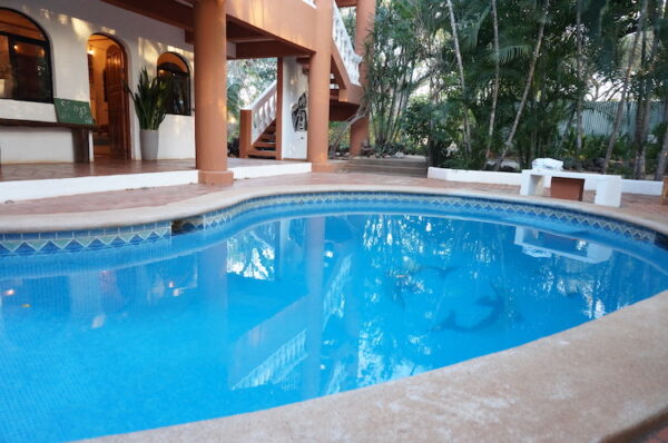 Journey Within: A Guide to Ayahuasca Retreats in Costa Rica